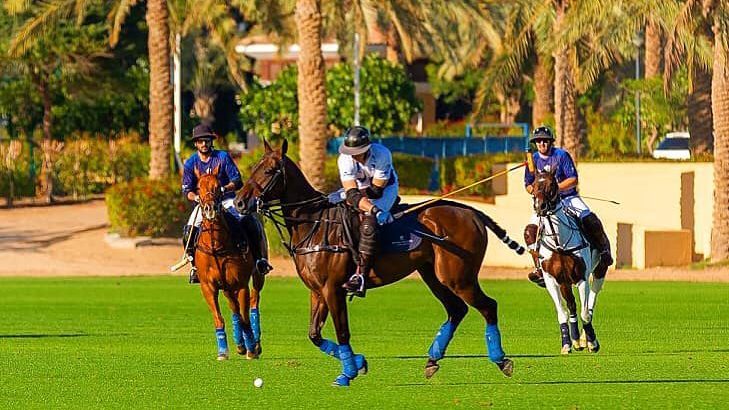 Dubai Polo & Equestrian Club - Polo Club Dubai